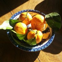 Blog | Summer Fletcher