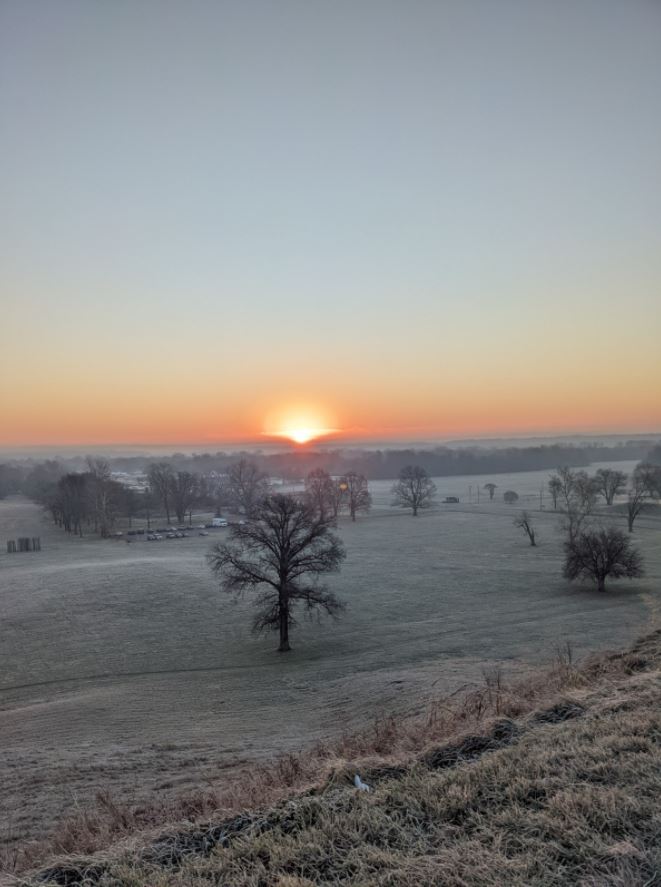 Newsletter | Summer Fletcher